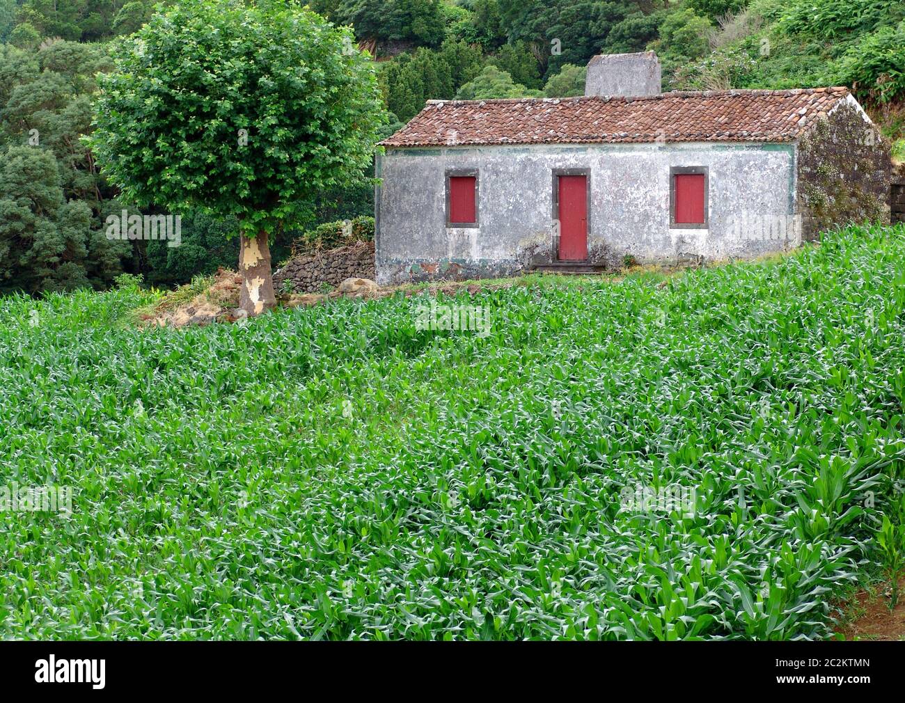 azores farm house Stock Photo - Alamy