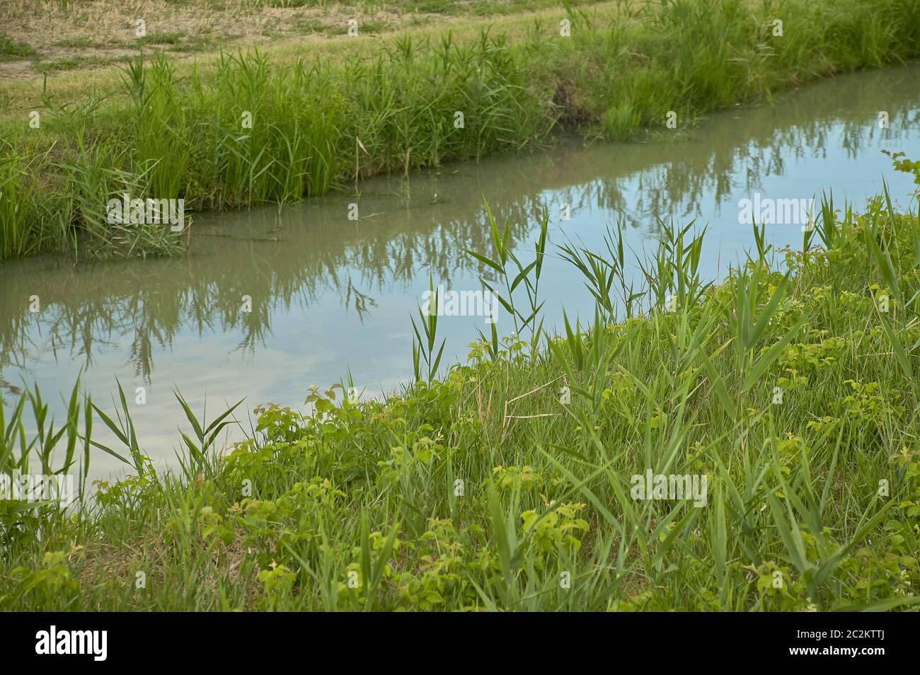 Shooting of a small ditch, stream, in a typical rural, rural area of ...