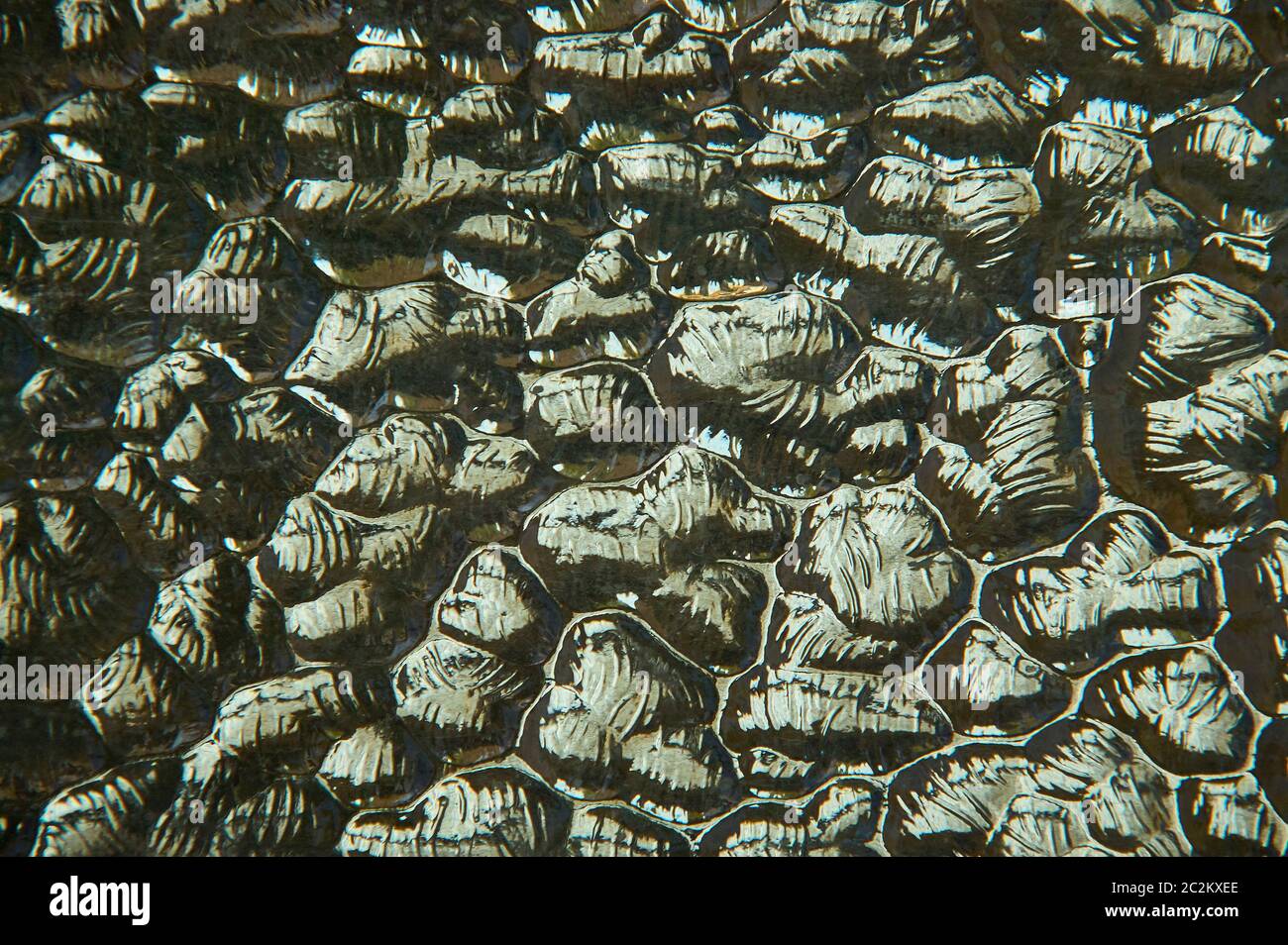 smoked glass texture that is part of a vintage industrial window Stock ...