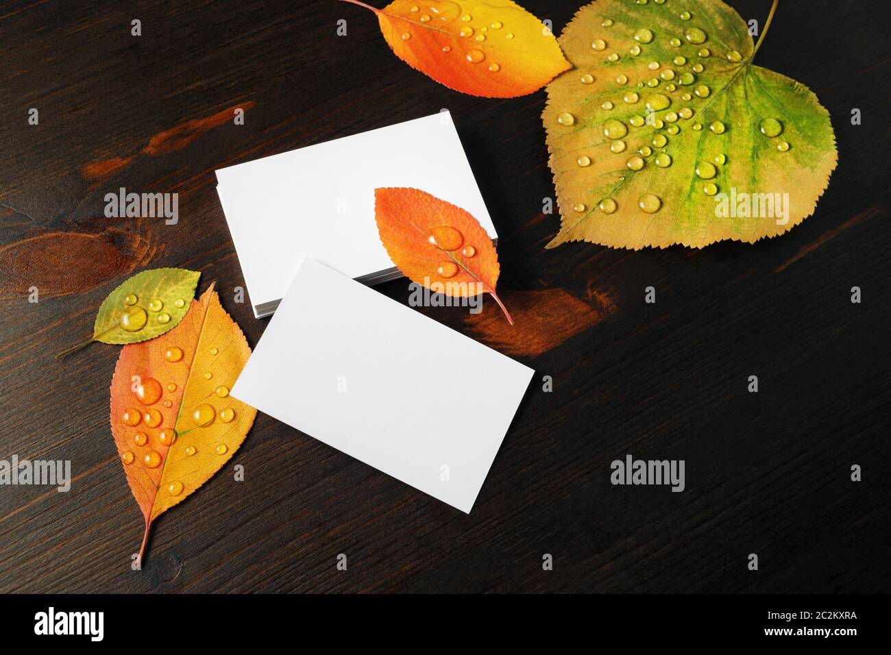 Business cards, leaves Stock Photo - Alamy