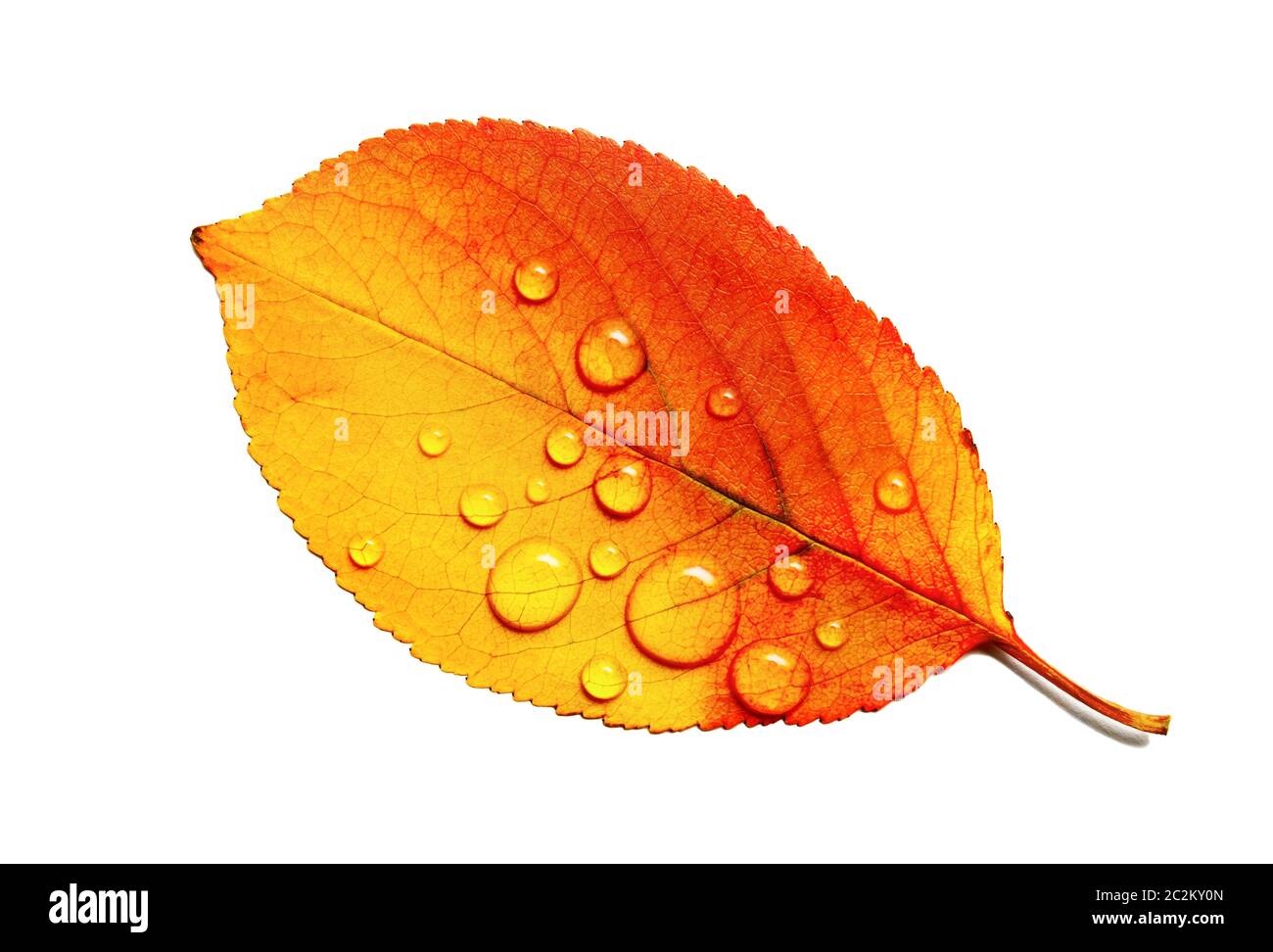Closeup texture water droplets Cut Out Stock Images & Pictures - Alamy