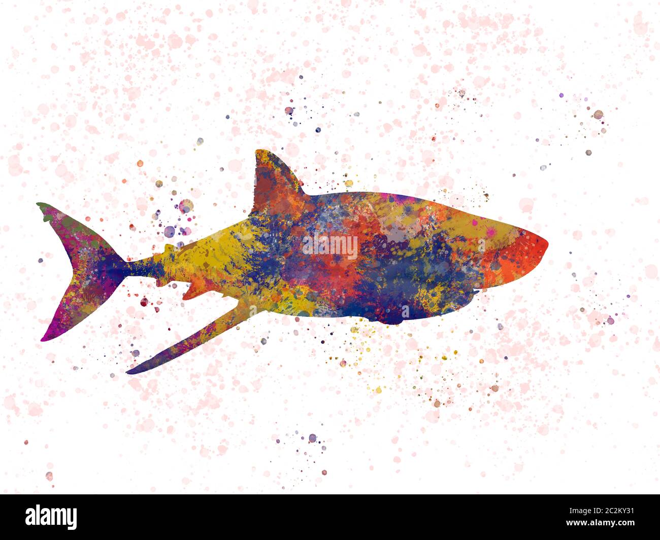 Shark Watercolor High Resolution Stock Photography and Images - Alamy