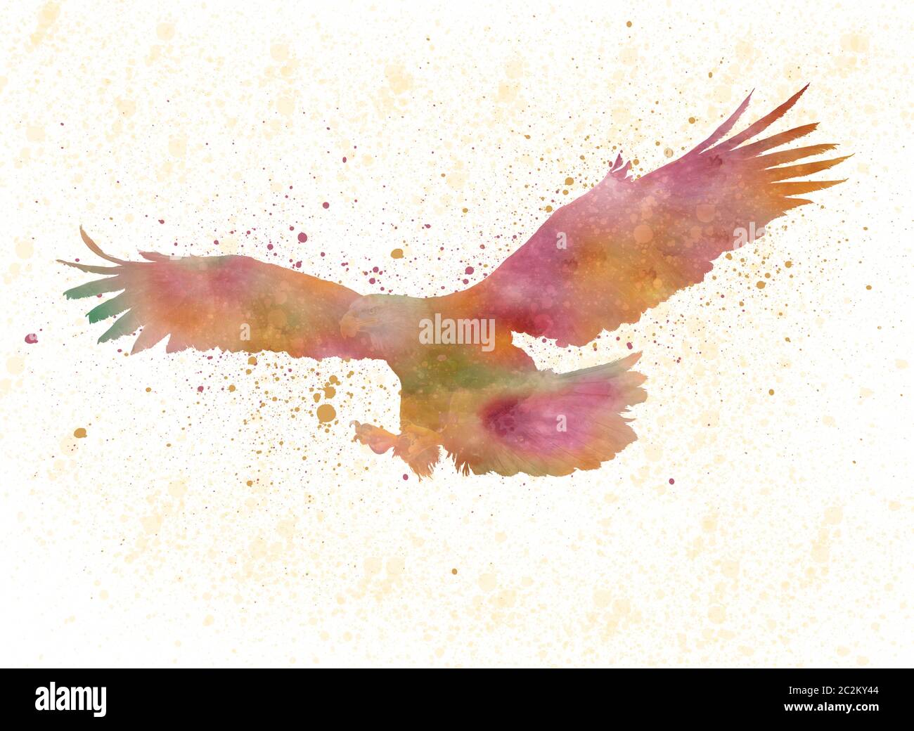 Golden eagle abstract hi-res stock photography and images - Alamy