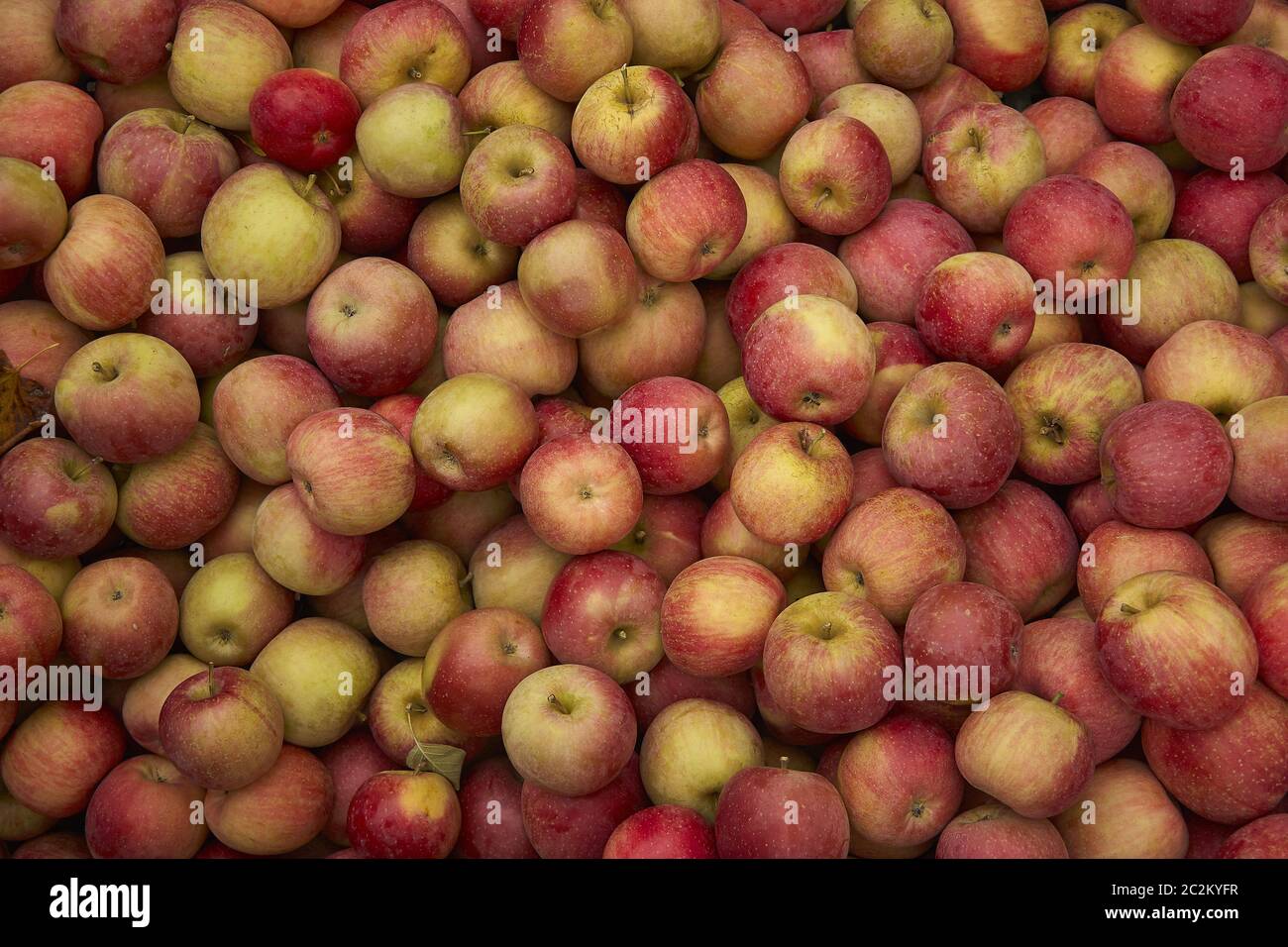 Pounds of apples hi-res stock photography and images - Alamy