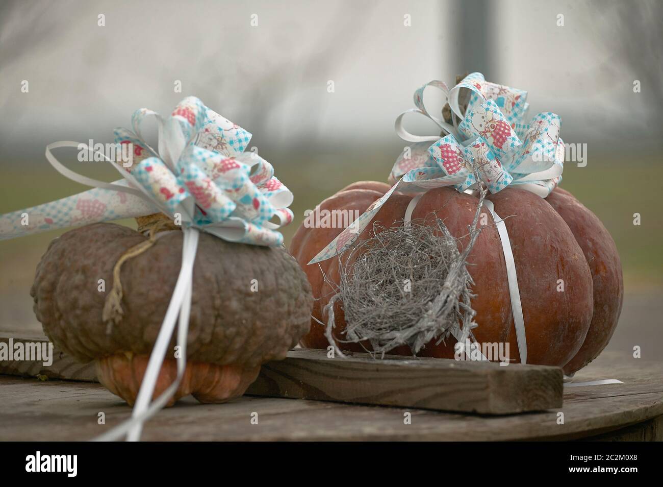 Two pumpkins decorated with blue flakes used as decoration for a ...