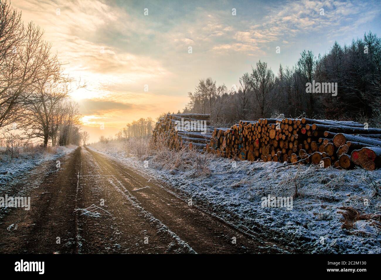 Winter morning rising sun forest path with wooden polder Stock Photo ...