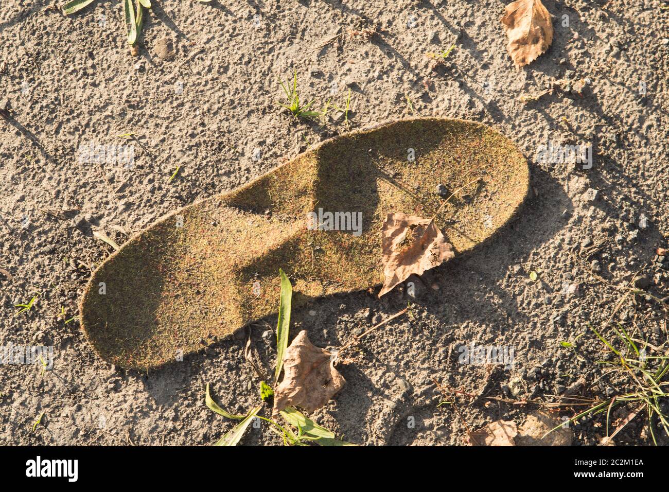 old insole for shoes to be thrown on the ground Stock Photo - Alamy