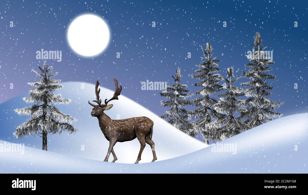 Landscape reindeer hi-res stock photography and images - Alamy