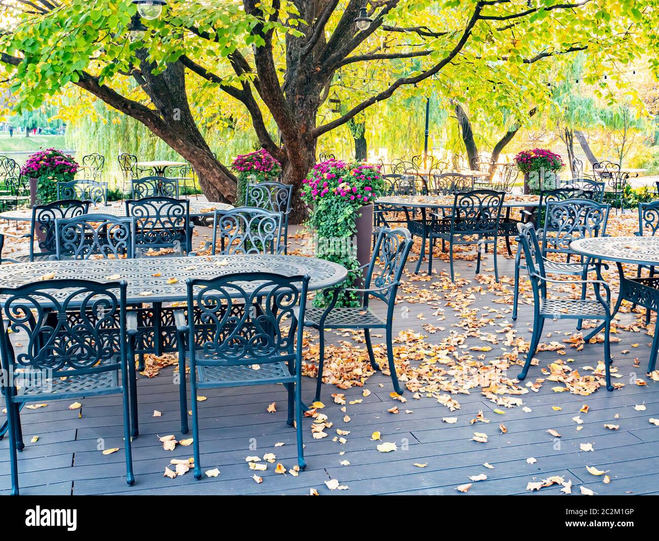 Tables of a street cafe on a background of autumn foliage. Backgrounds ...