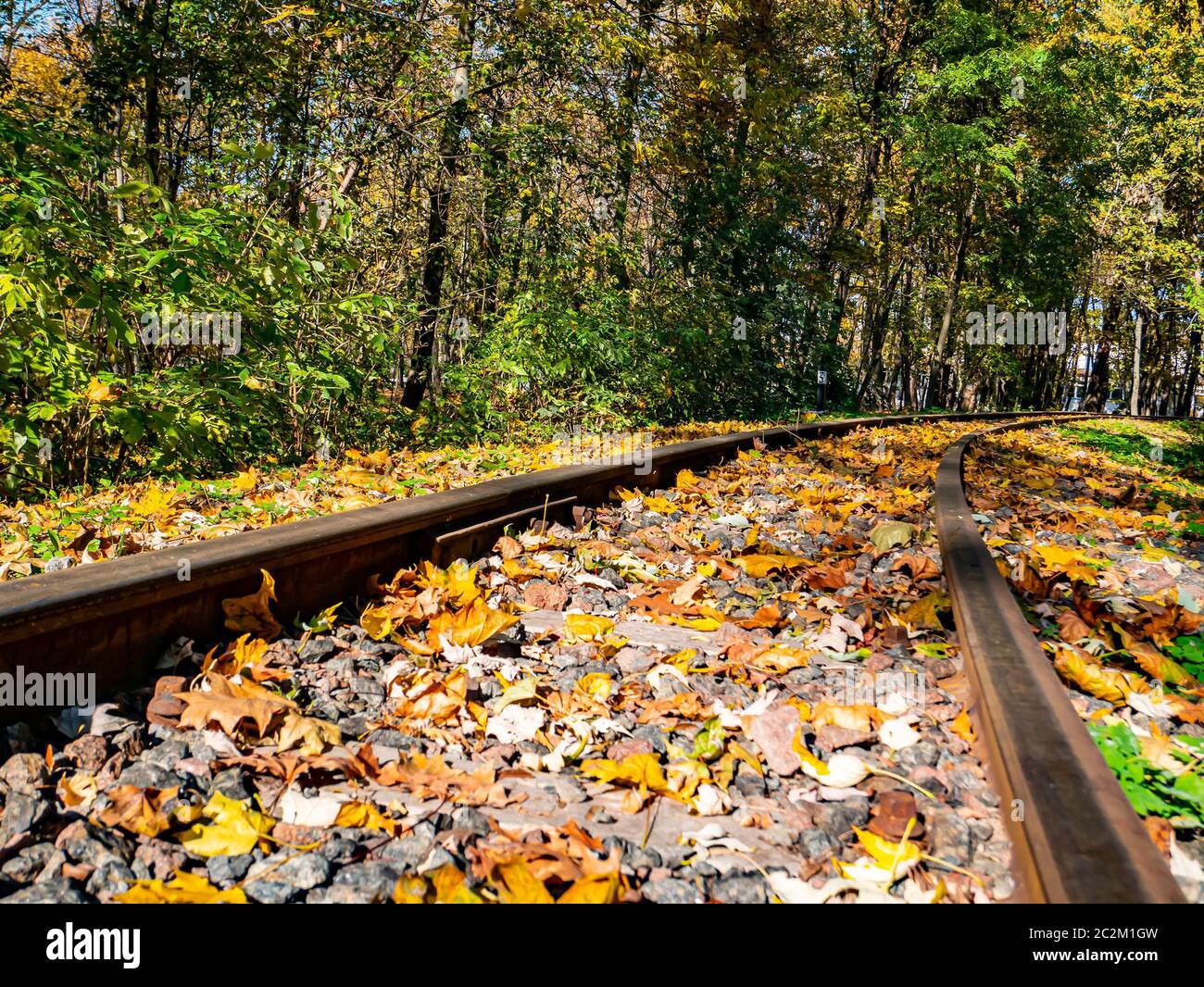 Old railway rails in autumn foliage. Transport Stock Photo - Alamy