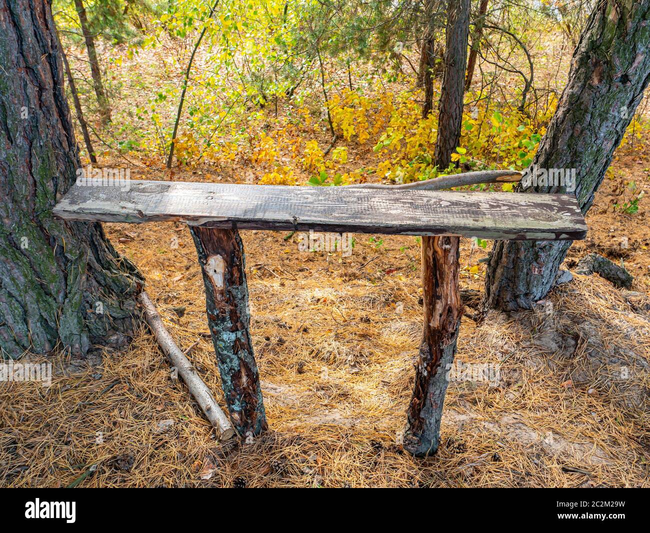 Bench for resting tourists in the forest. Hiking. Recreation Stock ...