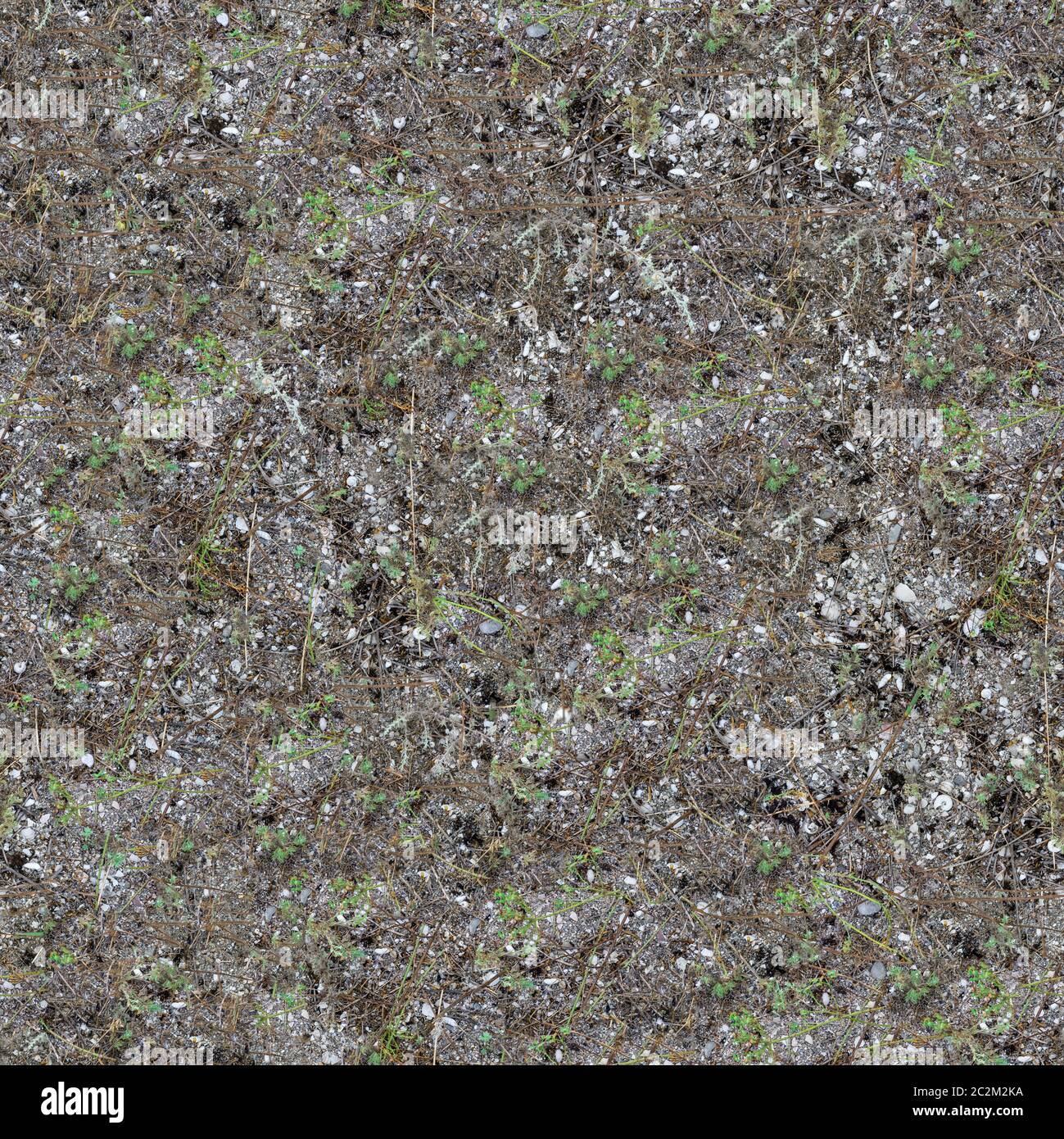 Seamless Texture of Sandy Strip of Coastal Land with Pebbles, Shells ...