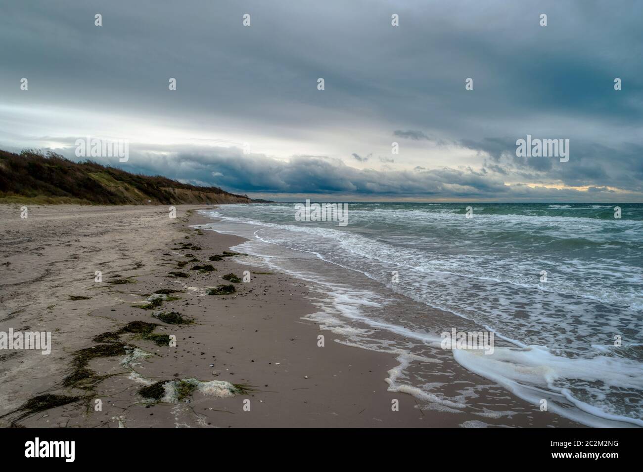 Baltic Sea Coast near Ahrenshoop in Germany Stock Photo - Alamy