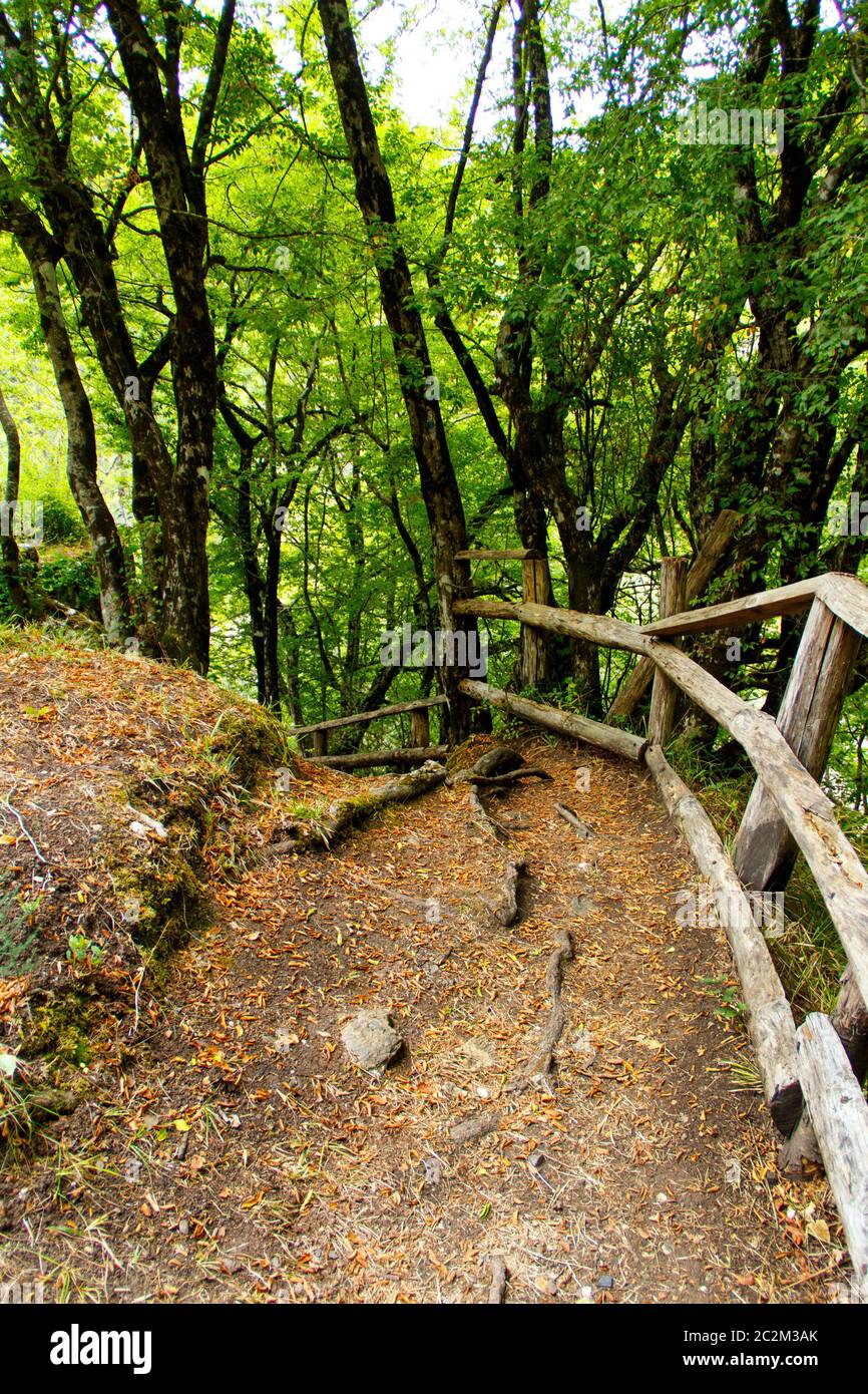 Path in the natural reserve of Morigerati, Campania, ITaly Stock Photo ...