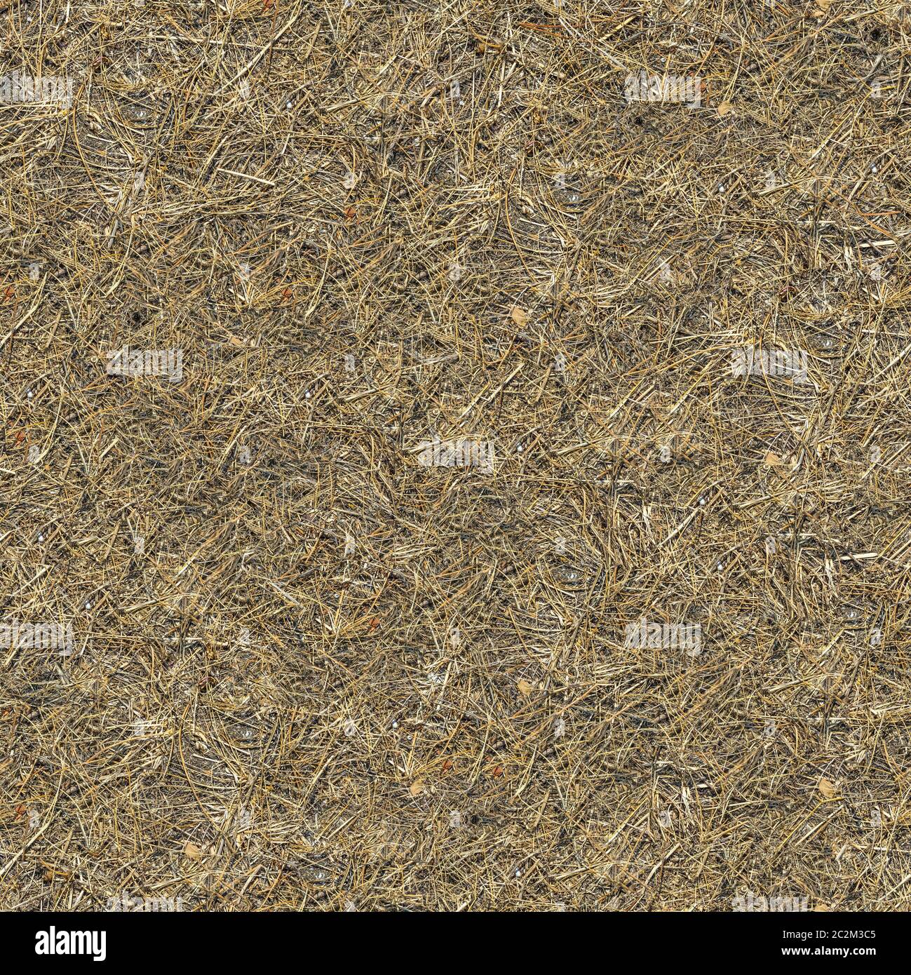 Seamless Texture of Soil Covered with Withered Grass Stock Photo - Alamy