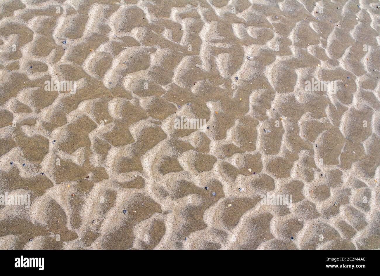 full frame abstract sand closeup pattern seen on a beach in Northern ...