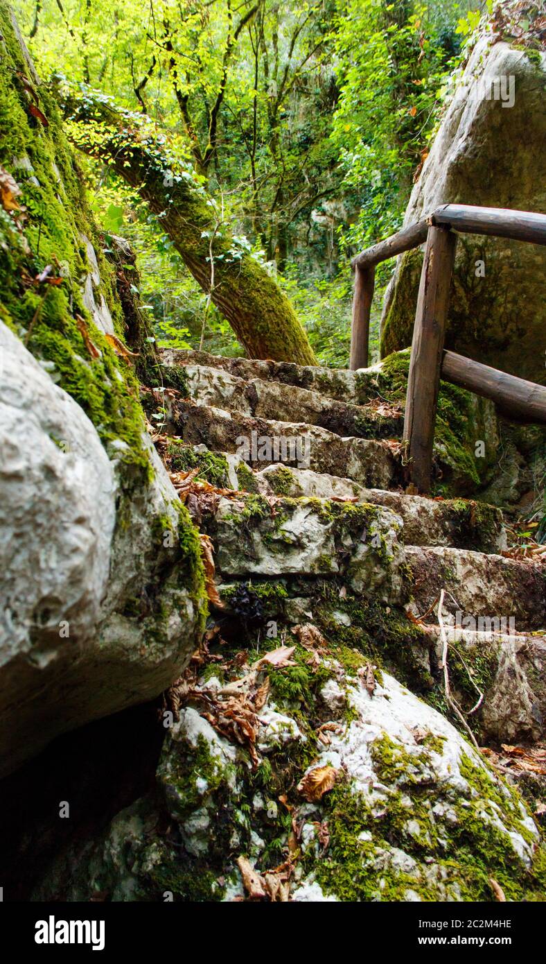 Stone stairs in the natural reserve of Morigerati, Campania, ITaly ...