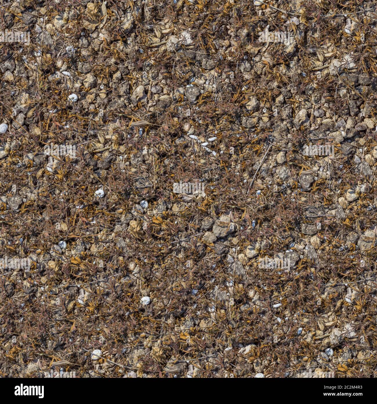 Rocky Ground Texture Seamless