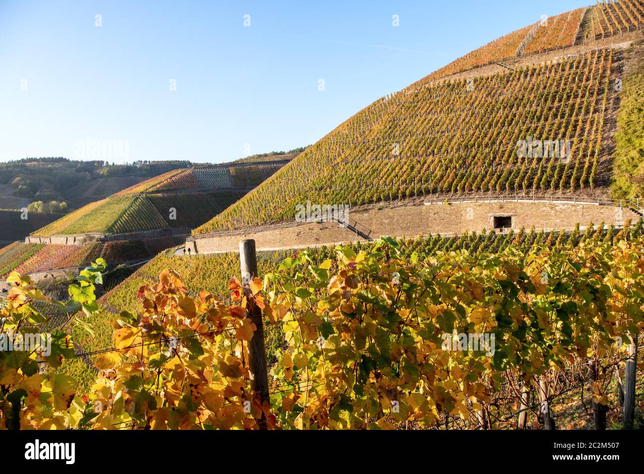 Vine terraces hi-res stock photography and images - Alamy