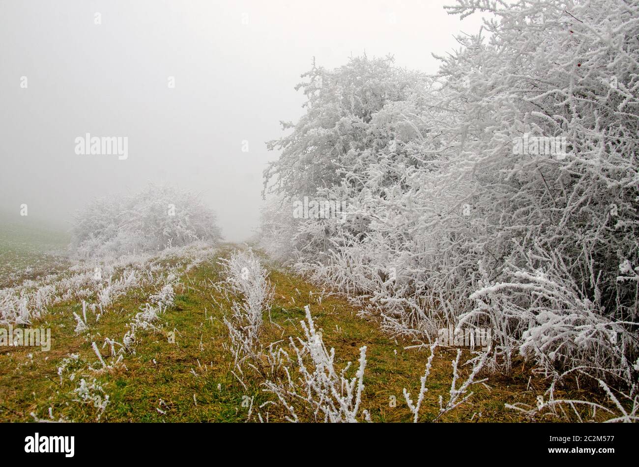 Fog precipitation hi-res stock photography and images - Alamy