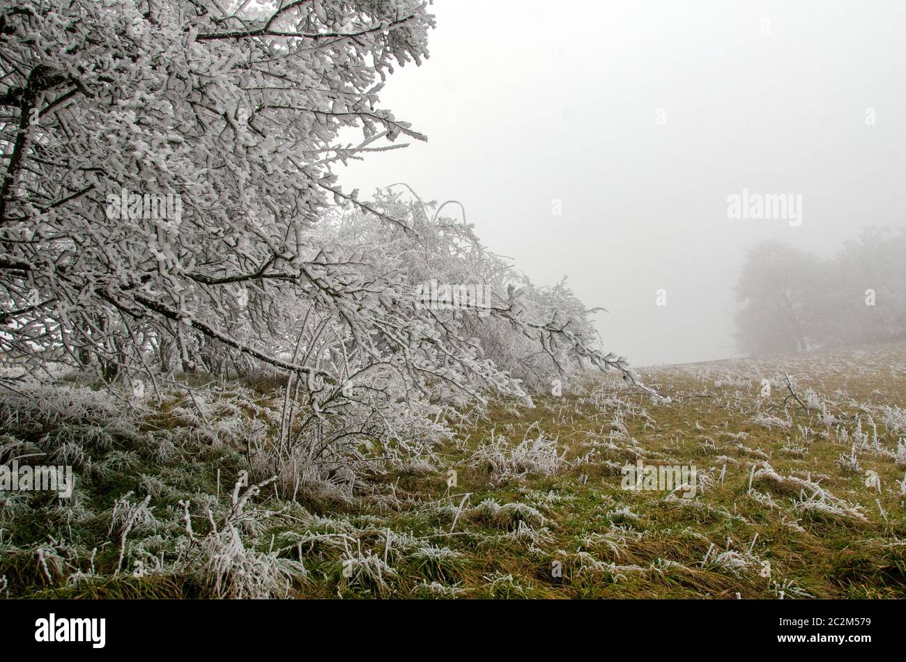 snowy and foggy winter landscape Stock Photo - Alamy