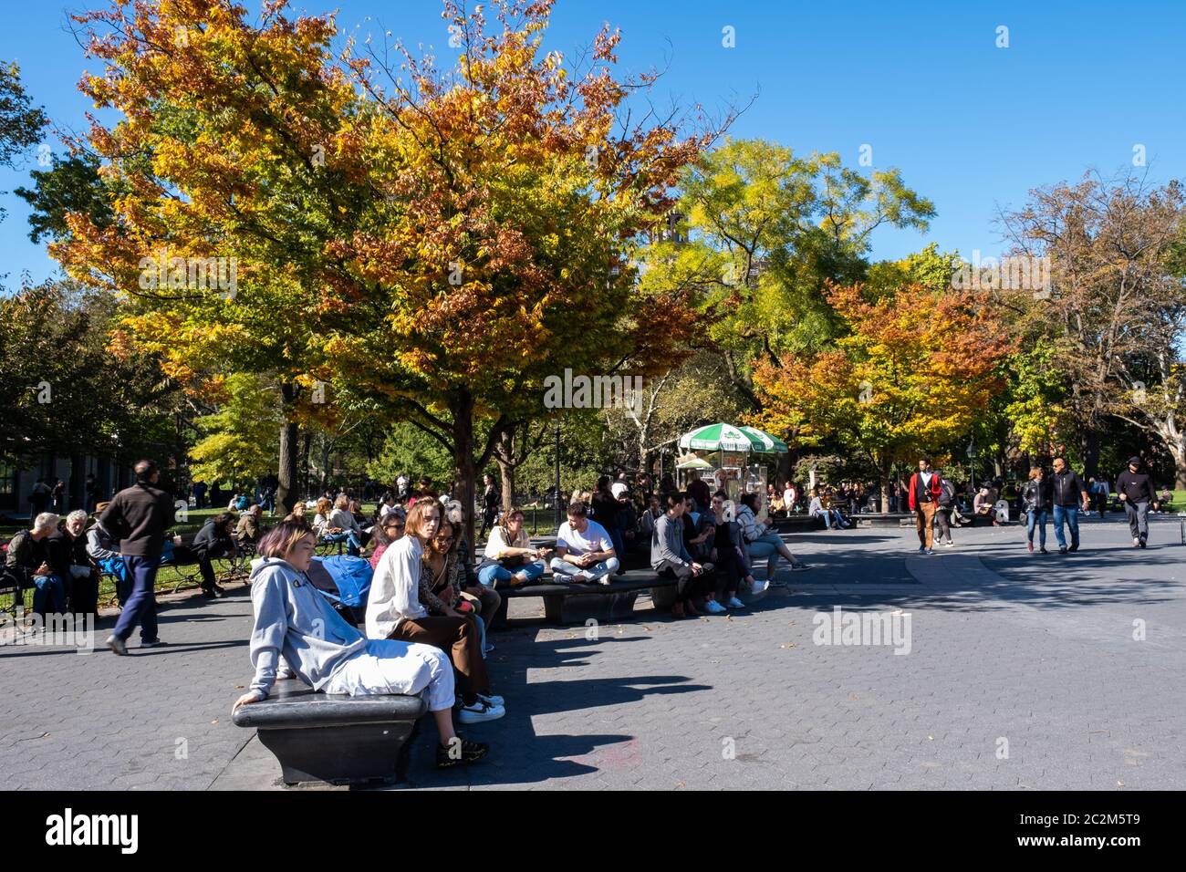Fall foliage color of Washington Square Park near NYU in Lower ...