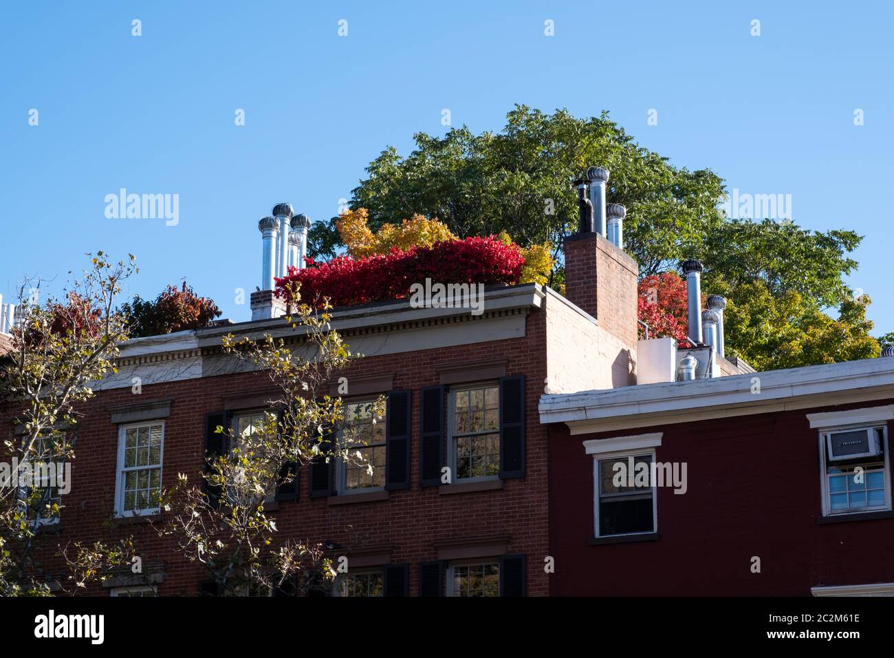 Fall foliage color of Greenwich Village in Lower Manhattan Stock Photo ...