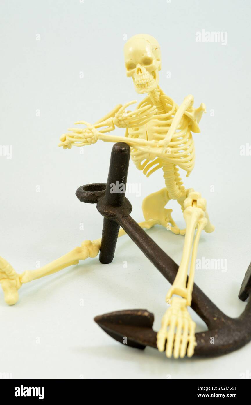 A ship anchor and skeleton sitting on the ocean floor in this ...