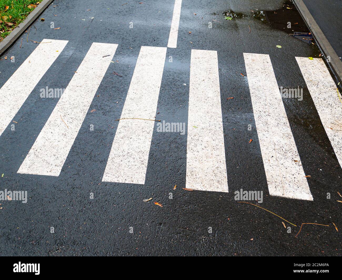 Pedestrian crossing the zebra road. Traffic Laws Stock Photo - Alamy