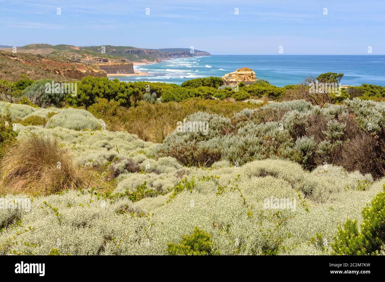 Coastal flora at the Twelve Apostles - Port Campbell, Victoria ...