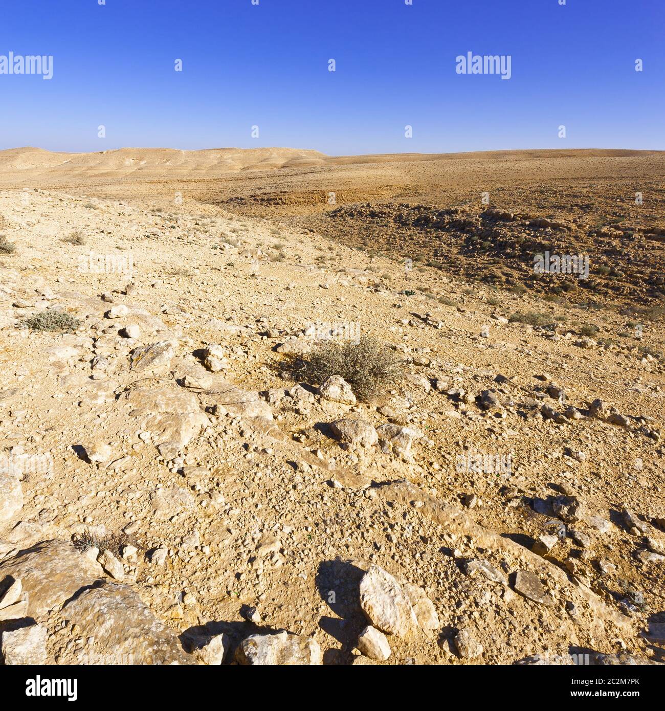 Stone Desert in Israel Stock Photo - Alamy