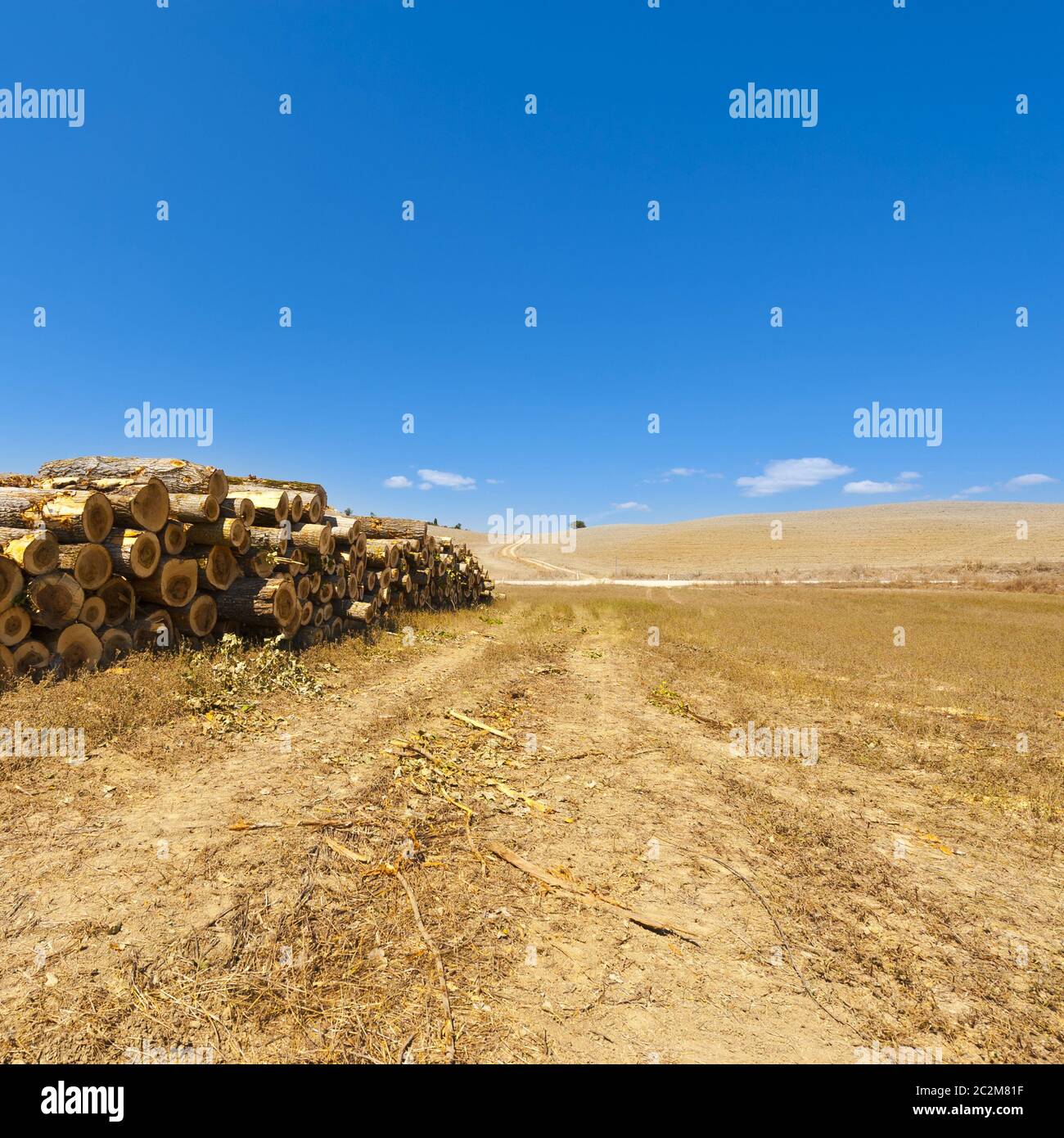 Logging on the fields in Italy Stock Photo - Alamy