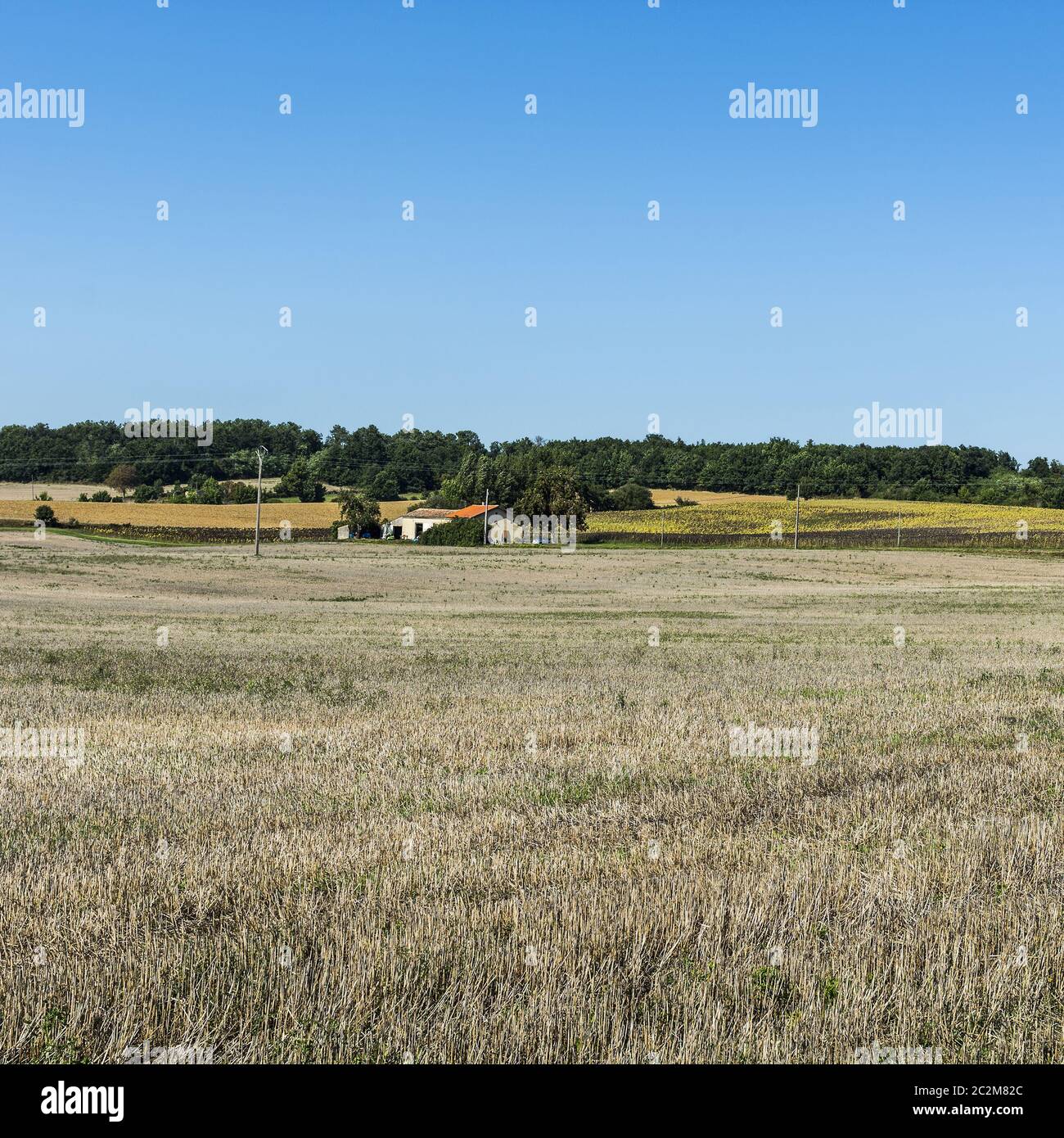 Farmhouse on the arable land Stock Photo - Alamy