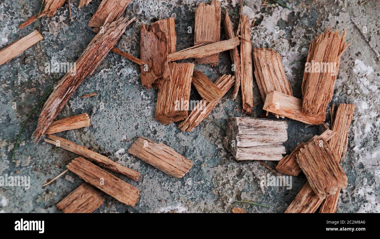 Crushed cedar tree bark on grey concrete surface texture background ...