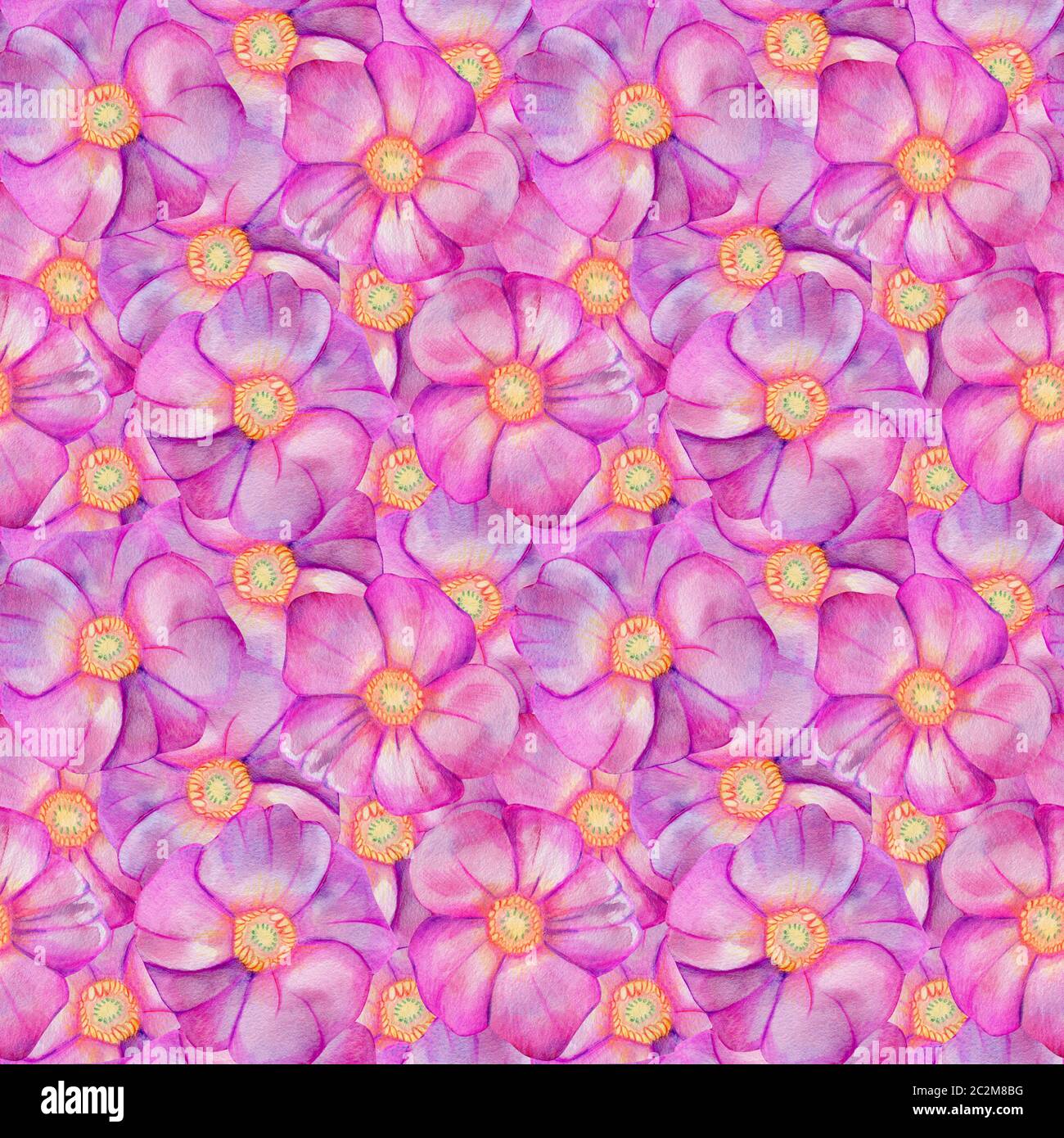 Seamless pattern with rose hips. Watercolor pink flowers isolated on ...
