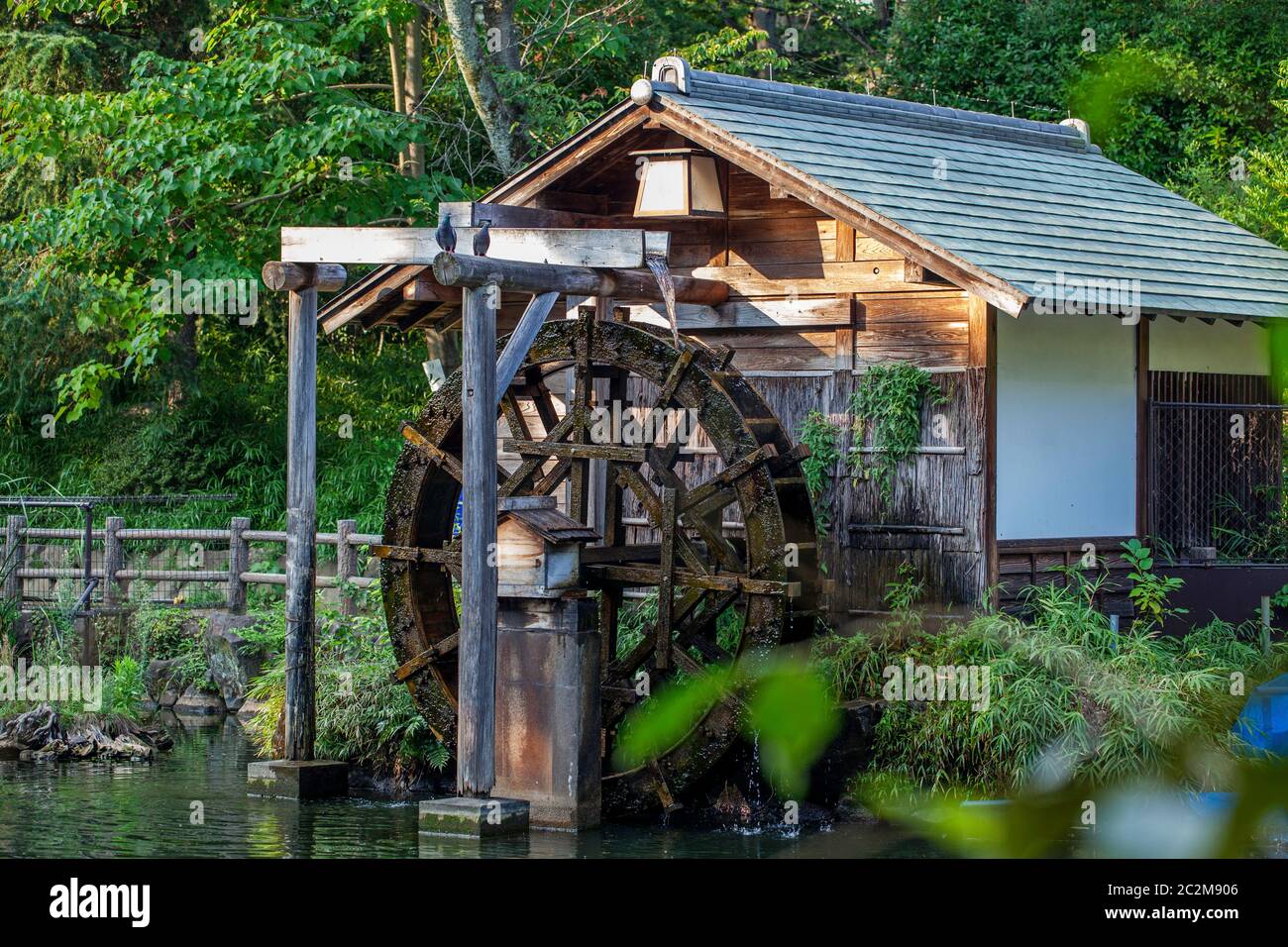 Old wooden mill in a Japanese-style park in downtown Tokyo Stock Photo ...