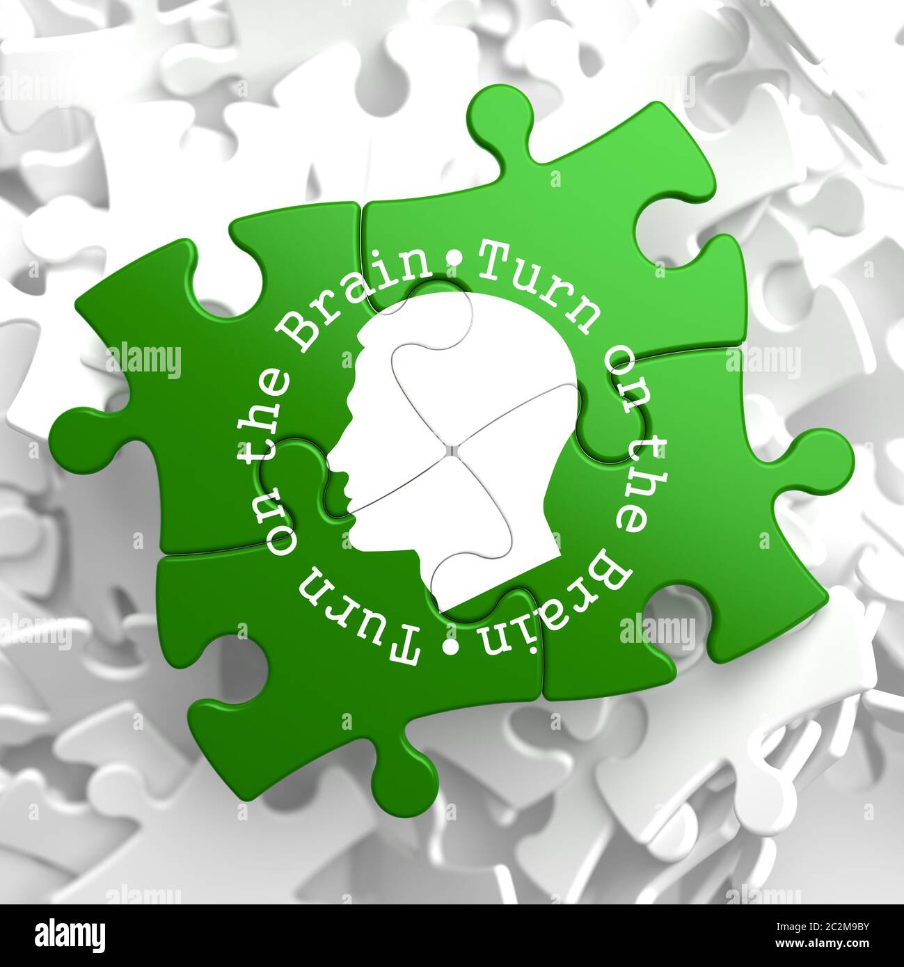 Turn On the Brain Written Arround Human Head Icon on Green Puzzle ...
