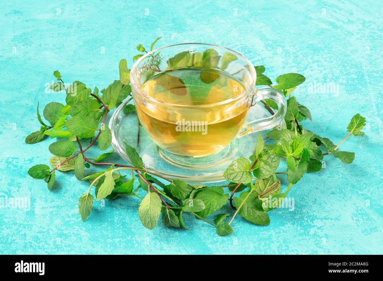 Mint tea cup on a turquoise background with fresh mint leaves Stock ...