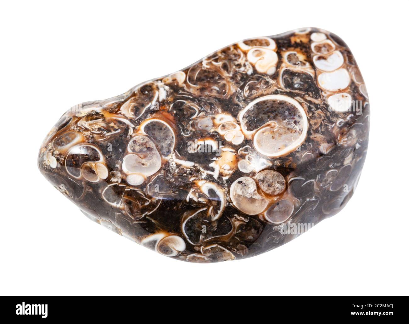 closeup of sample of natural mineral from geological collection ...