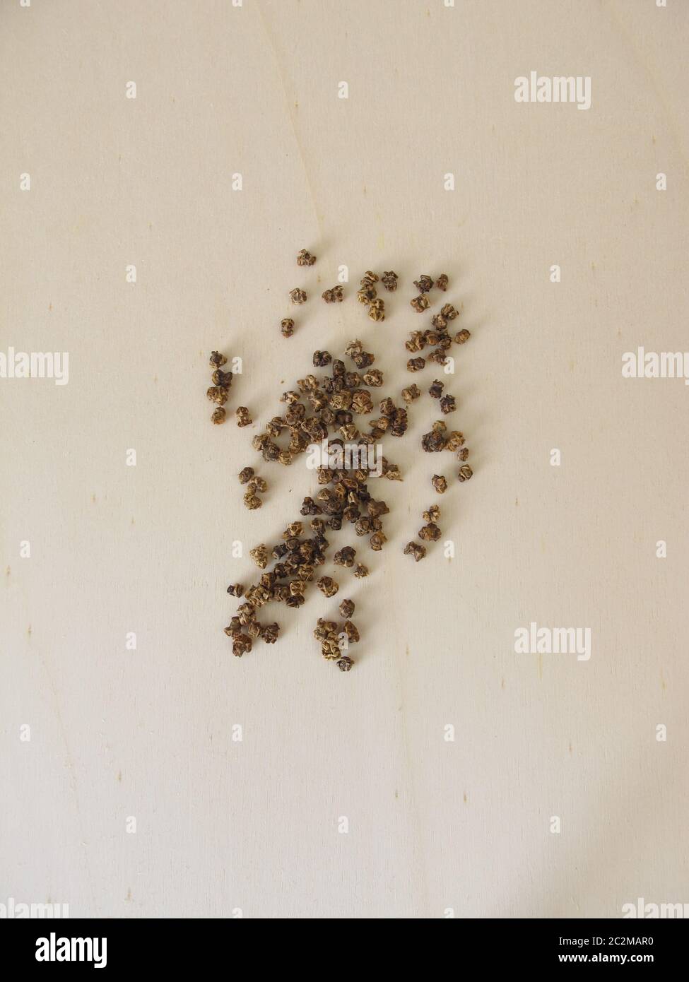 Chard seeds hi-res stock photography and images - Alamy