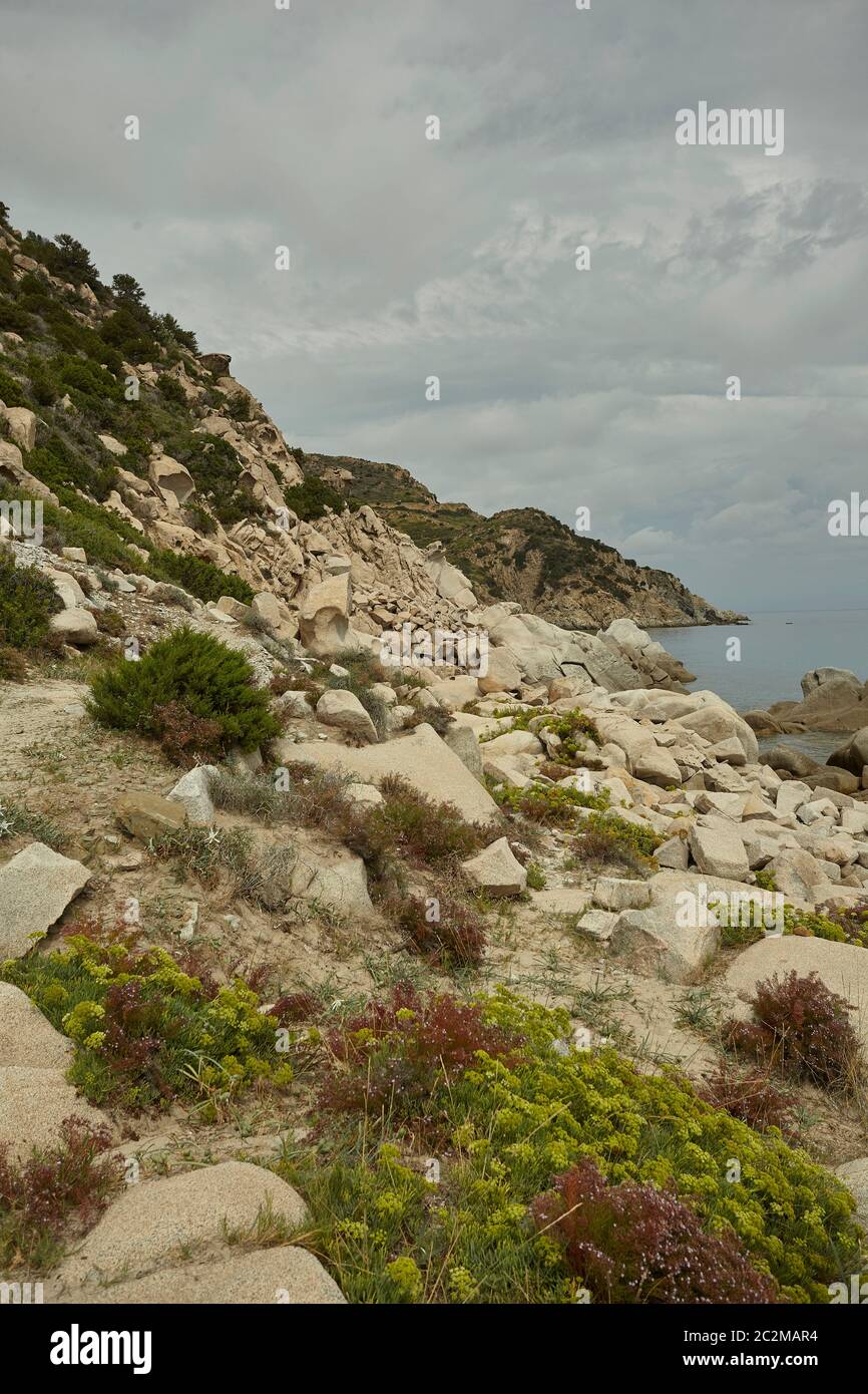 View of a cliff in the southern coast of Sardinia, covered by typical ...