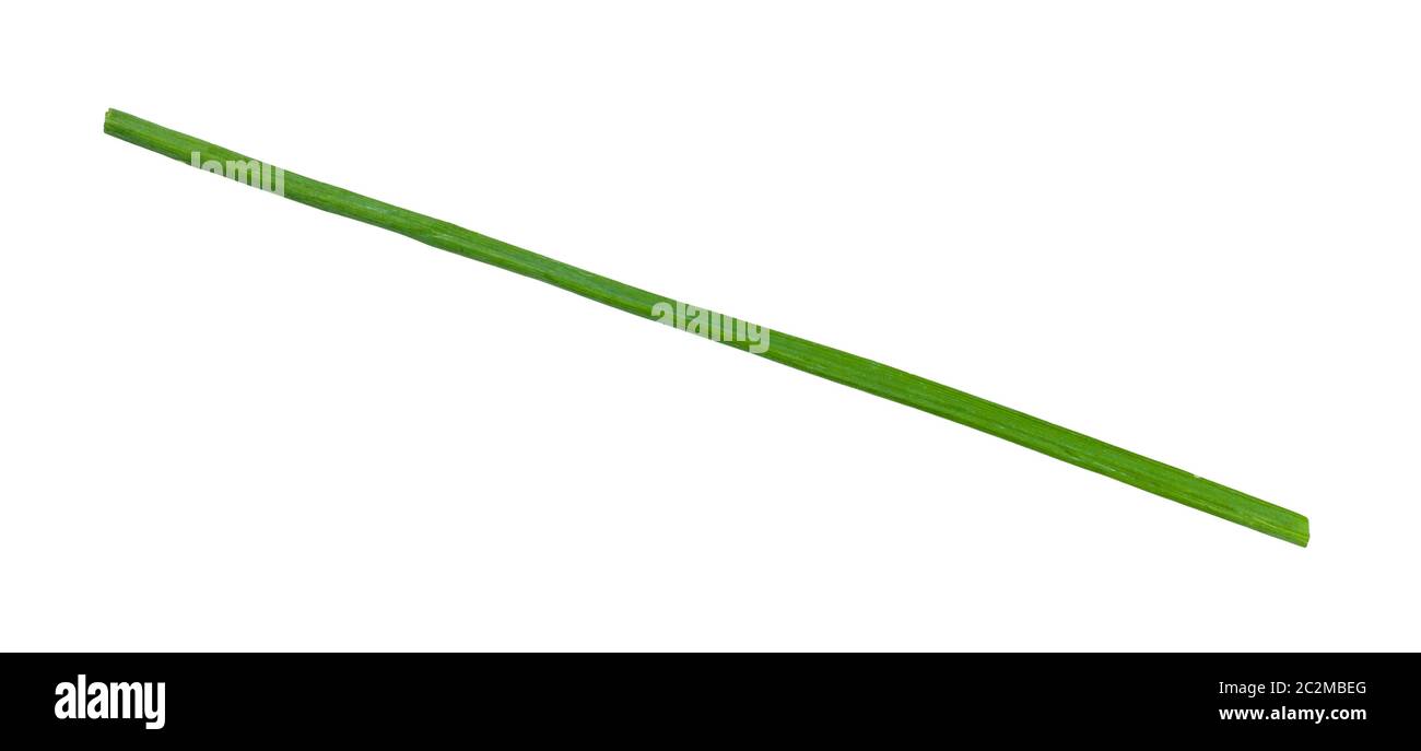 fresh single stalk of Chives isolated on white background Stock Photo ...