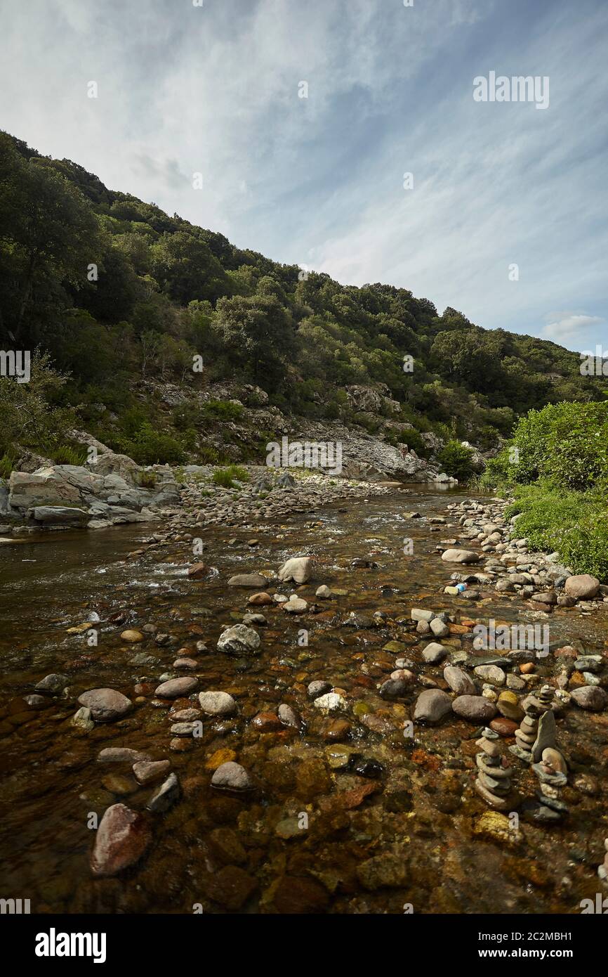 Wide angle view in vertical shot of a mountain stream in the middle of ...