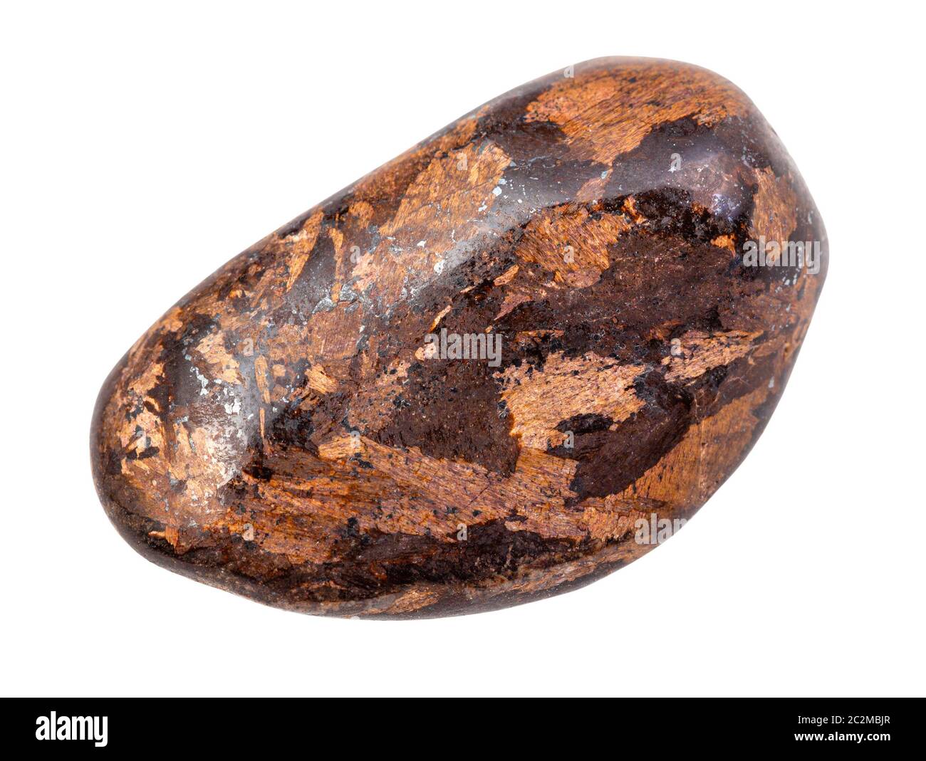 Bronze specimen Cut Out Stock Images & Pictures - Alamy