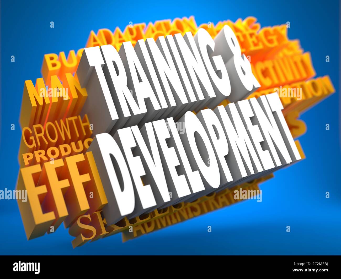 Training and Development on White Color on Cloud of Yellow Words on ...
