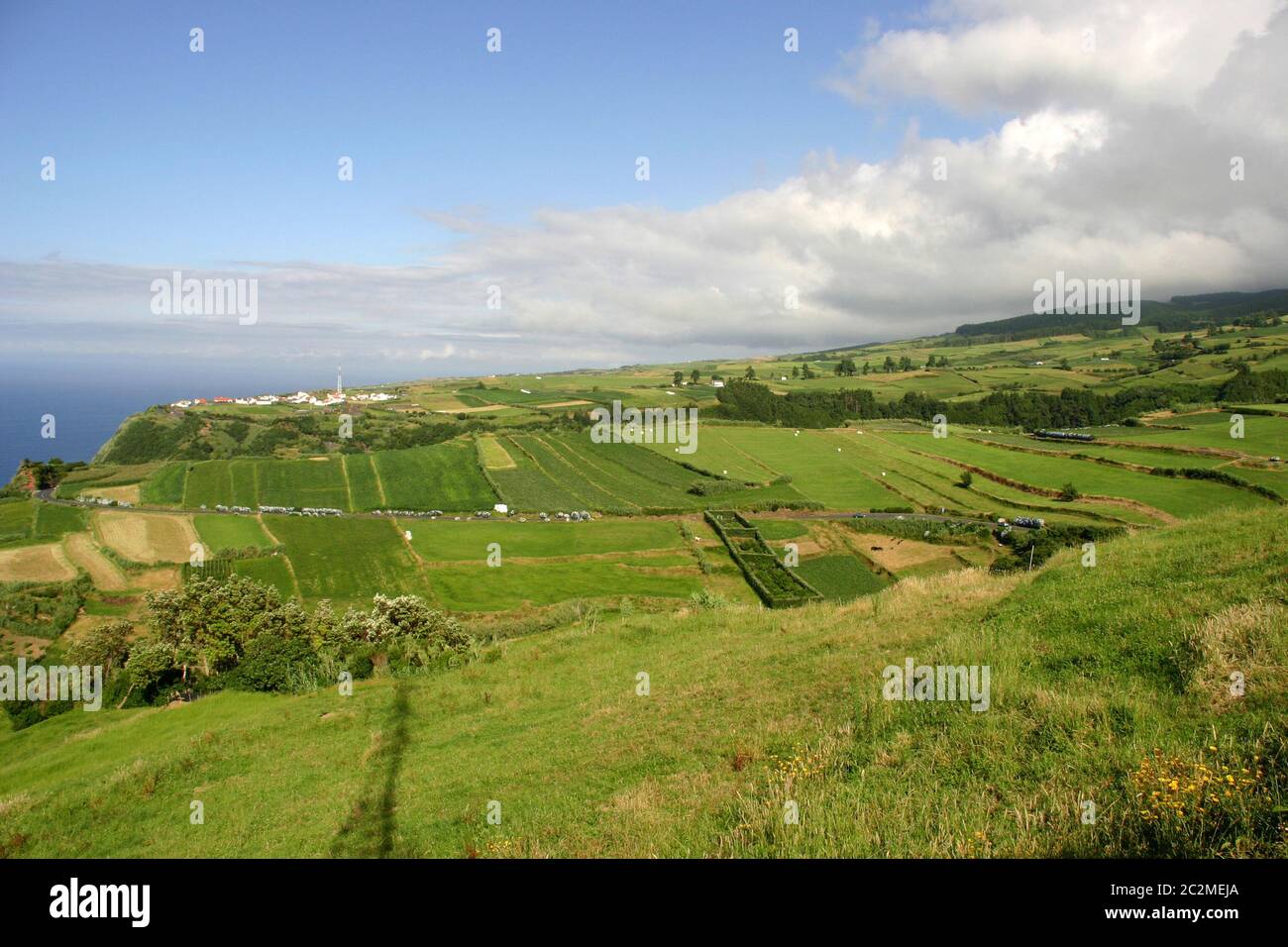 azores green fields at sao miguel island Stock Photo - Alamy