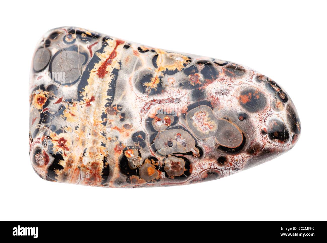 Orbicular Jasper Mineral Stone High Resolution Stock Photography and Images - Alamy