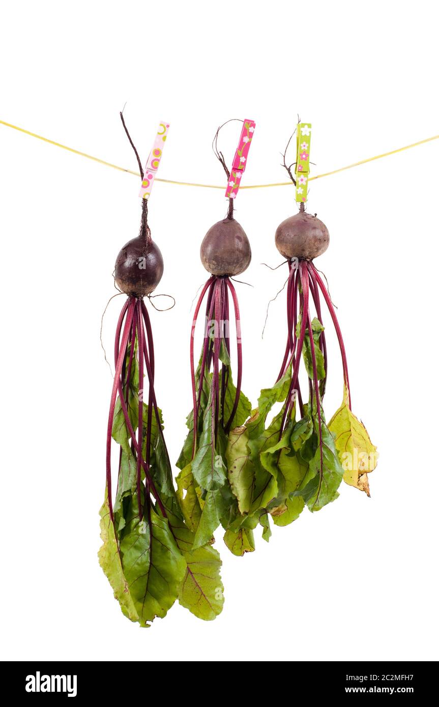 Shot of three hanging beet isolated on white Stock Photo - Alamy