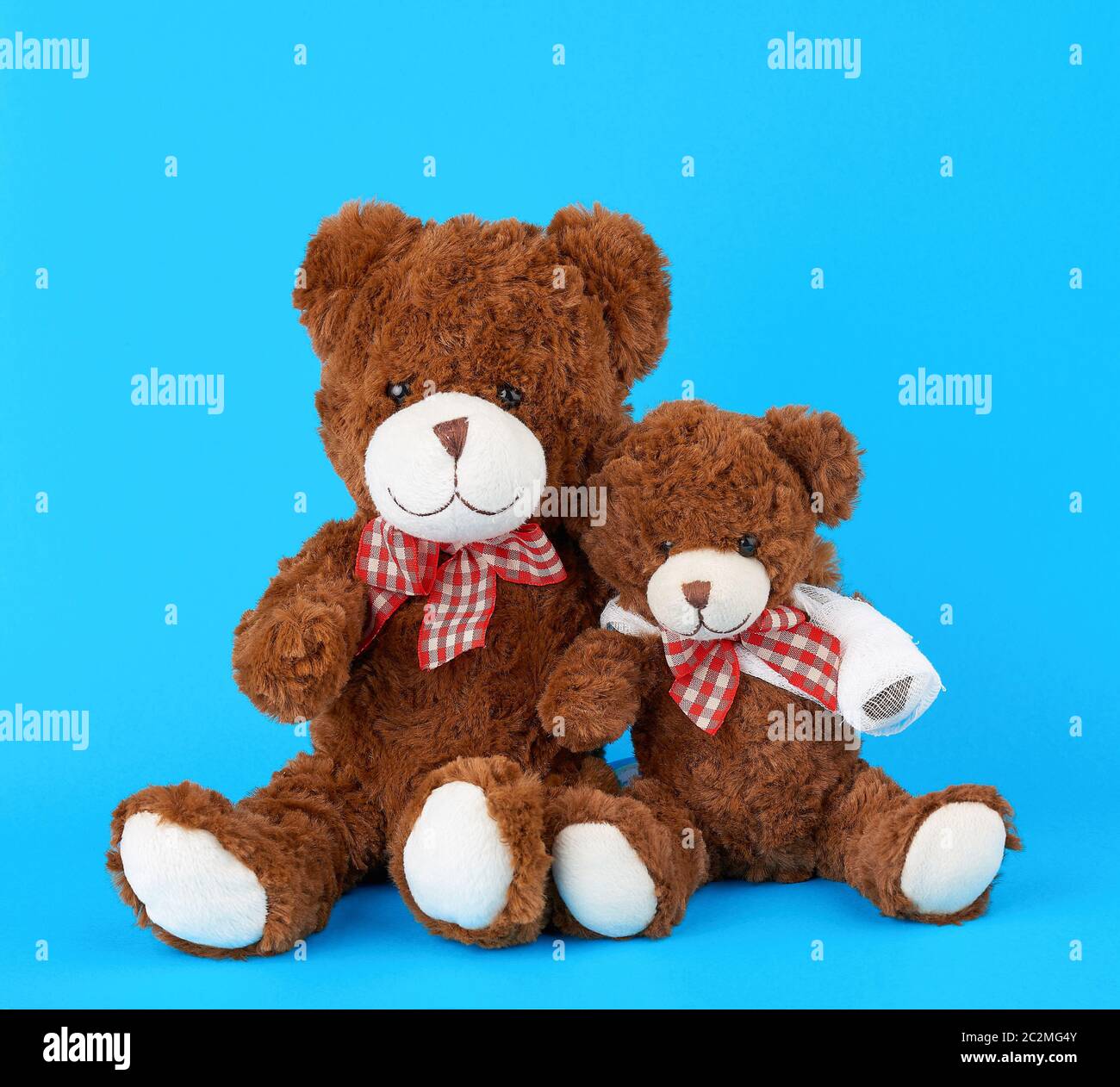 two brown teddy bears on a blue background, family and love concept ...