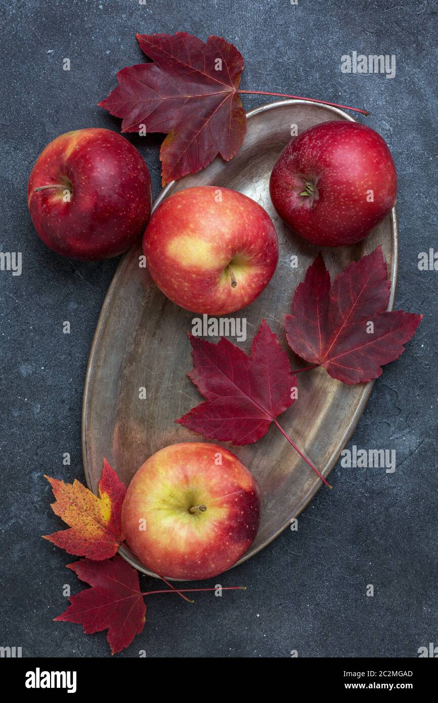 Ripe red apples harvest hi-res stock photography and images - Alamy